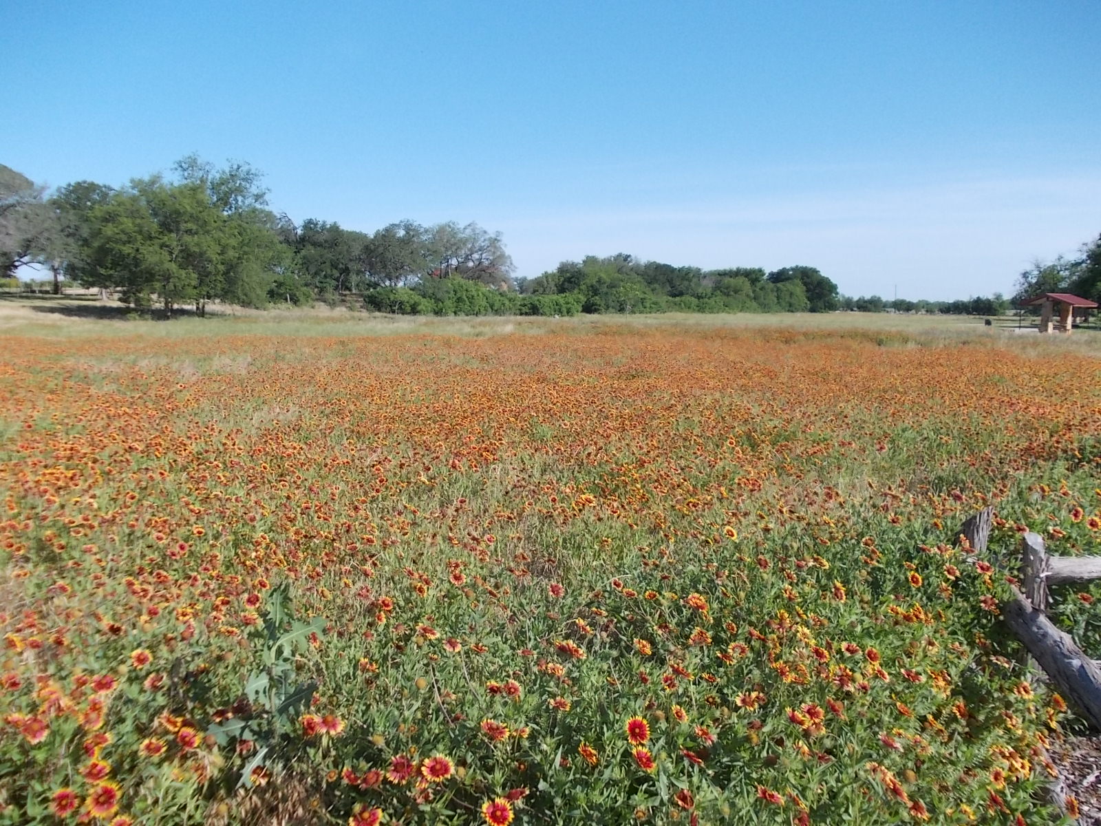 Berry Springs Trails
